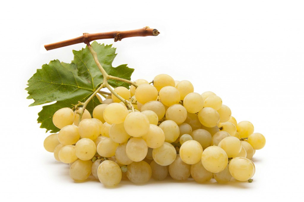 Grapes Italia – Arena Fruit S.r.l.